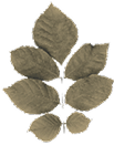 Products – Vood